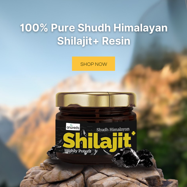 Anuveda Life - Shudh Shilajit Resin for Natural Energy & Wellness and ...