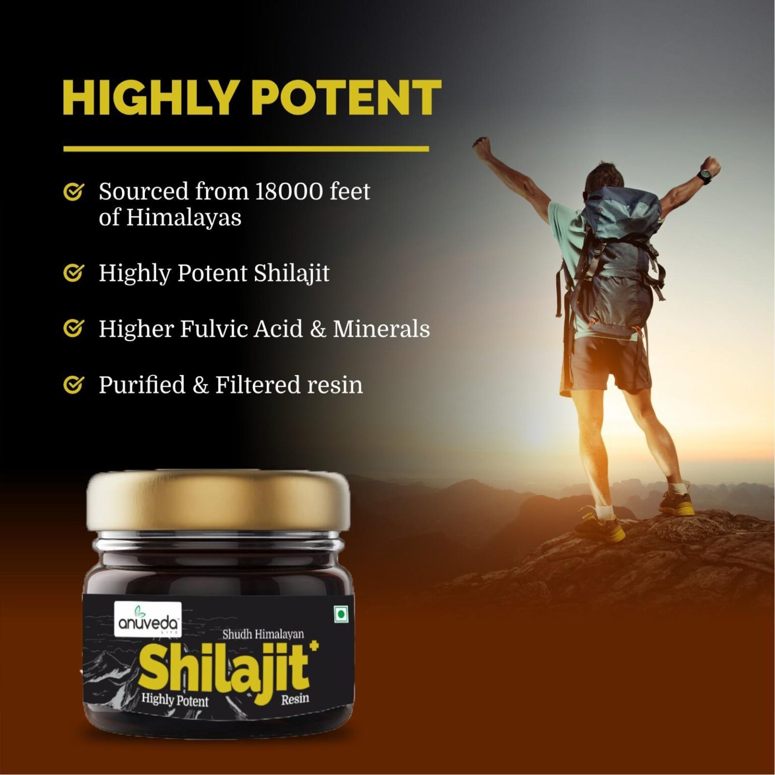 Anuveda Life - Premium Shilajit Resin for Energy, Vitality & Wellness
